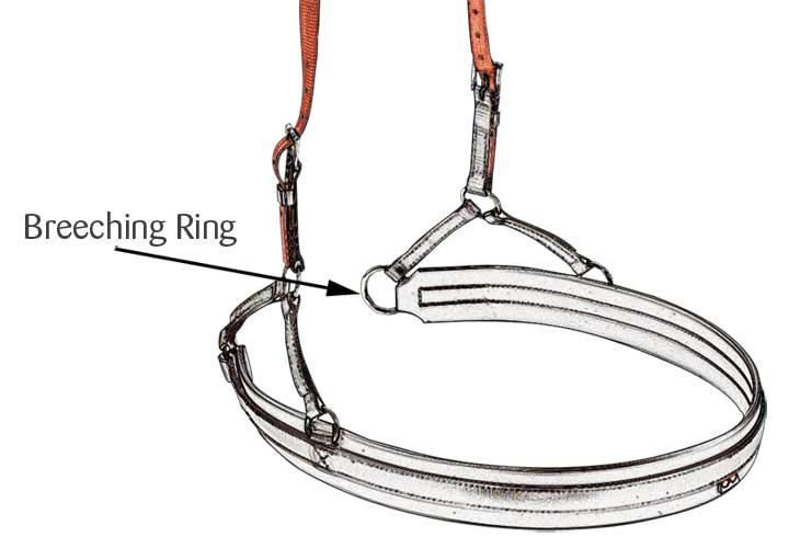 Zilco Europe | Classic Pairs Breeching Straps - Cob