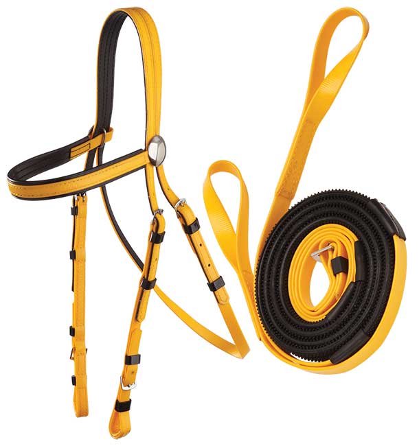 Zilco Europe | Race Bridle/Loop End Reins - Yellow/Black